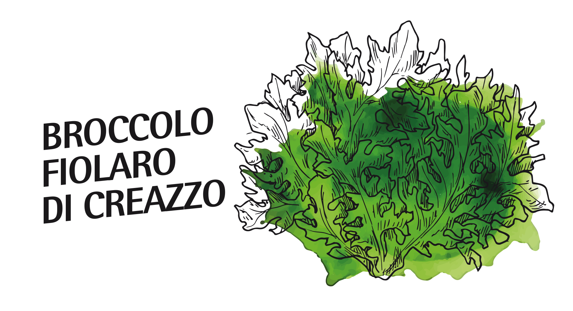 Broccolo fiolaro di Creazzo - broccolo fiolaro Creazzo, broccolo-fioi